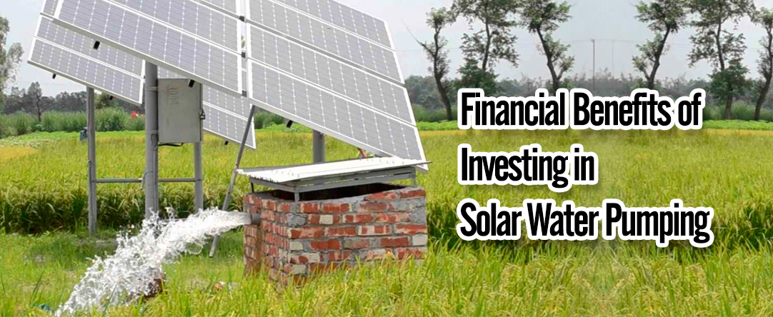 Financial Benefits of investing in solar water pumps - Maxpower